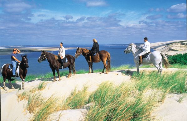 Camping Le Truc Vert Lège-Cap-Ferret, Camping Nouvelle-Aquitaine, Gironde